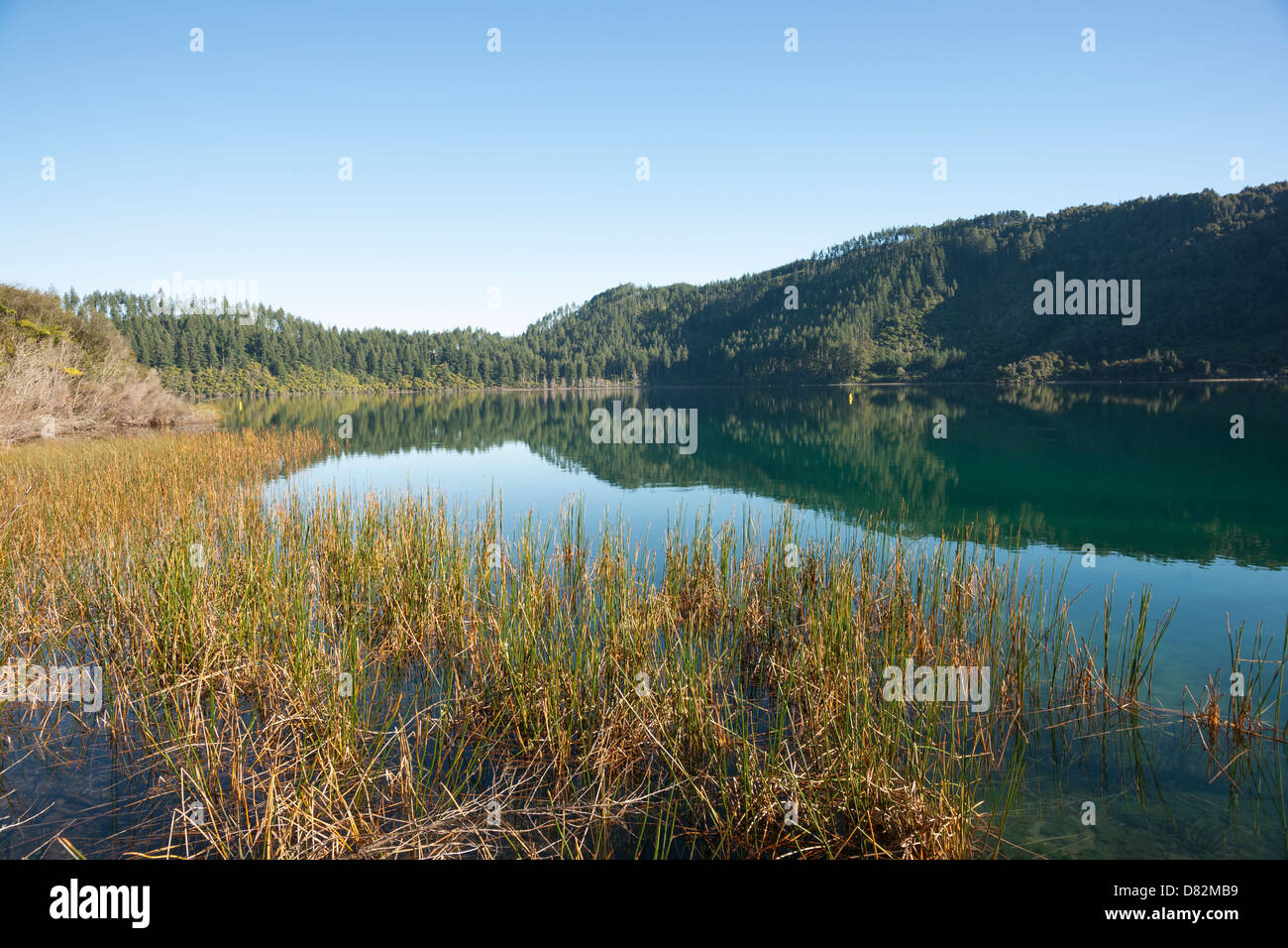 Lake scenic. New Zealand's Blue Lake with wonderful reflections from ...
