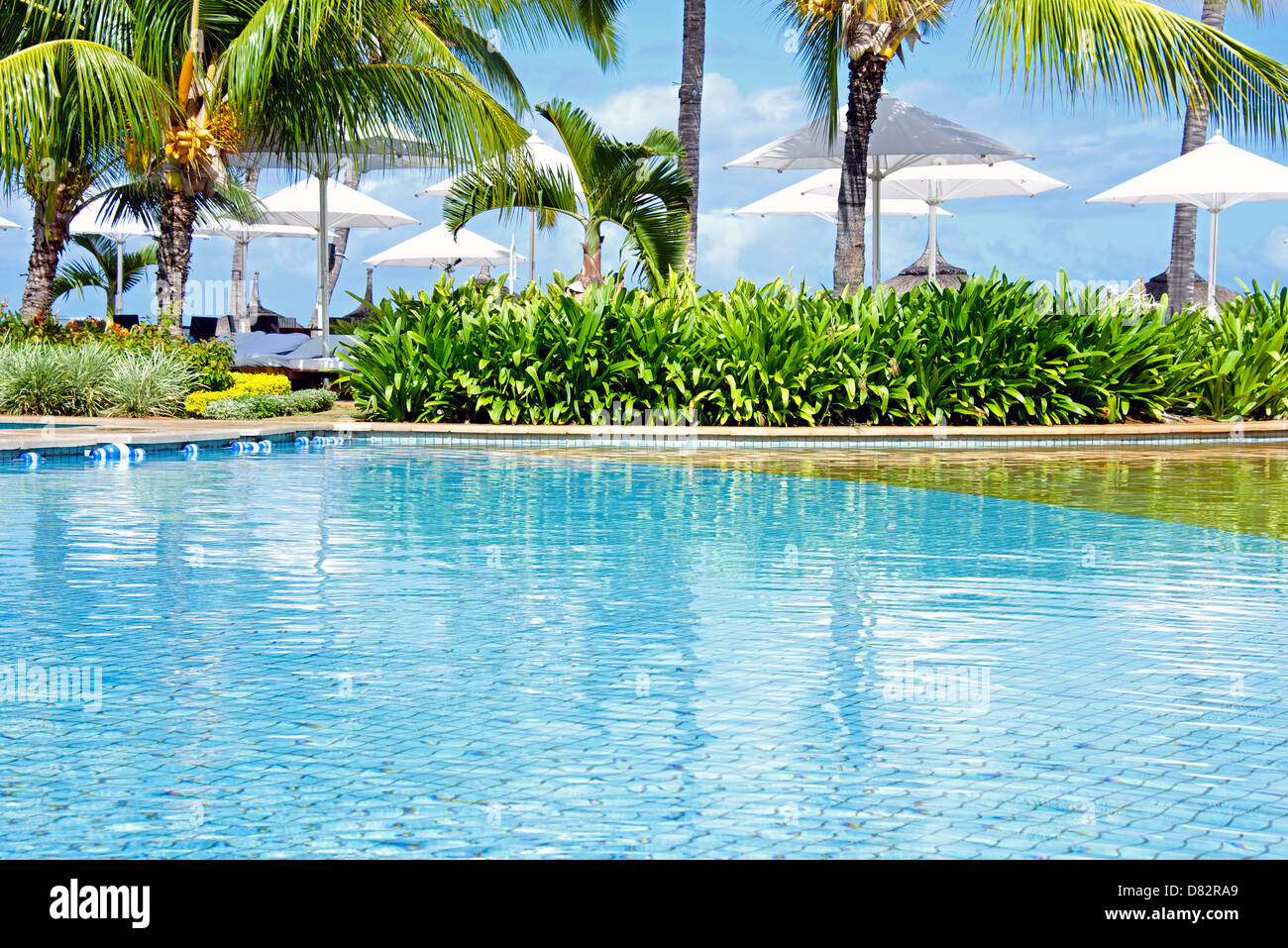 Beautiful swimming pool with morning sun in the tropics Stock Photo - Alamy