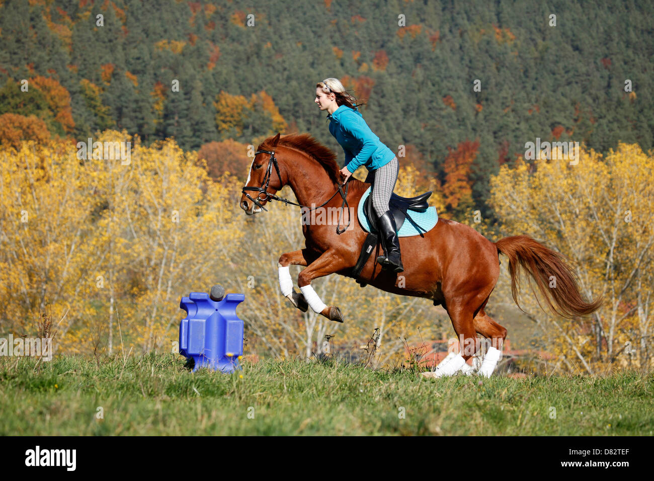 jumping with pony Stock Photo - Alamy