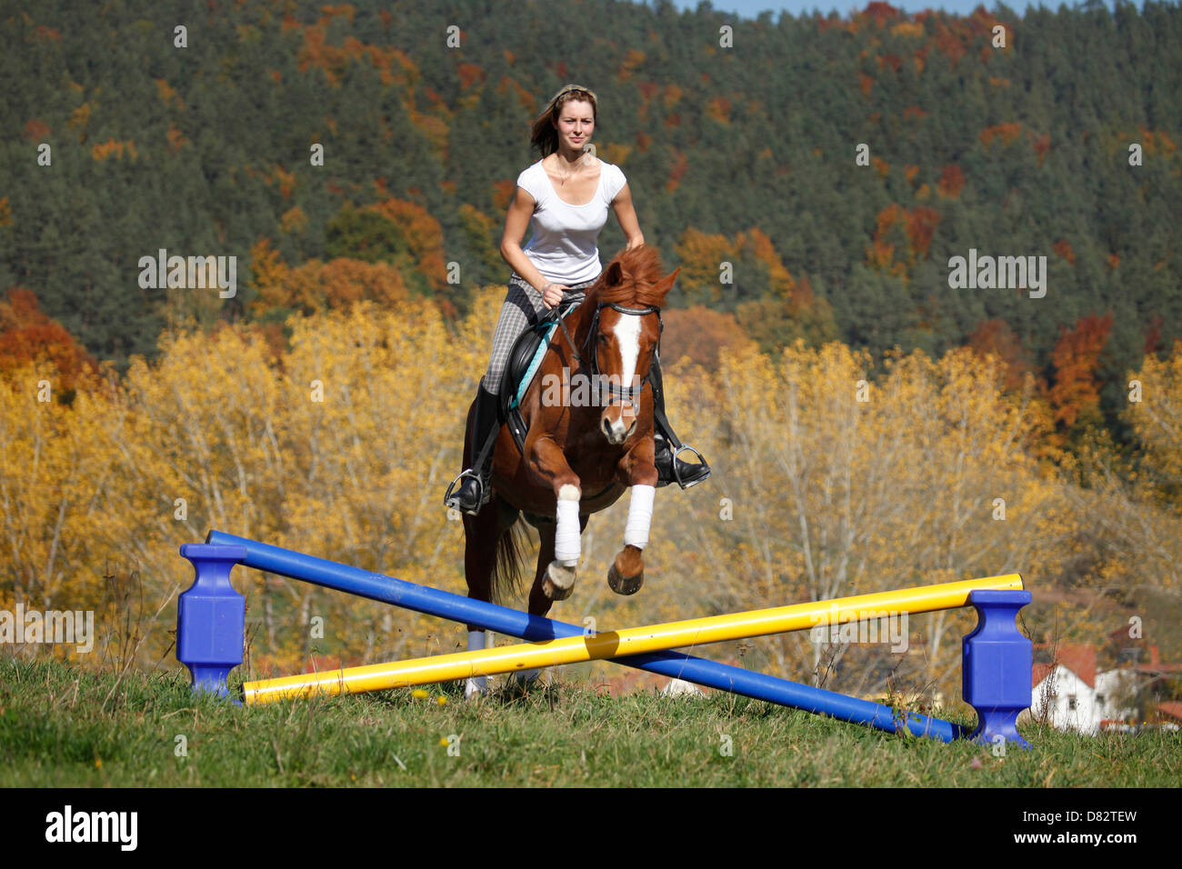 jumping with pony Stock Photo - Alamy
