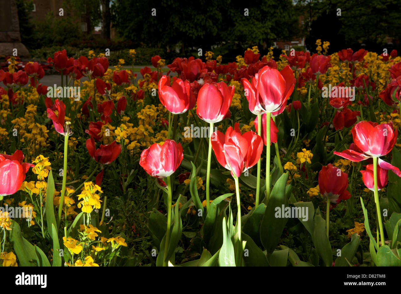 Drama dramatic impact hi-res stock photography and images - Alamy