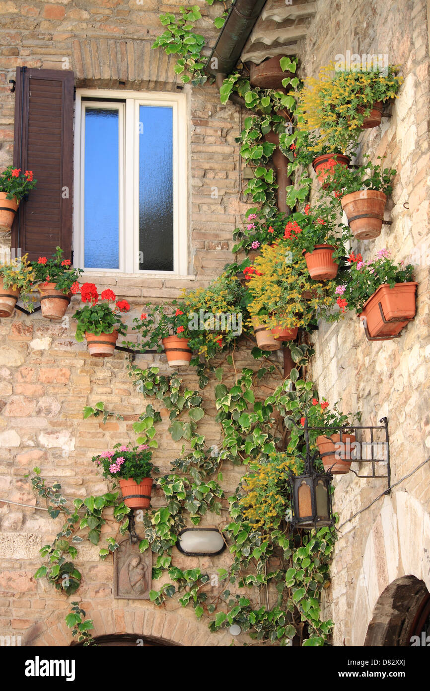 Medieval corner with flower and pots in Assisi, Italy Stock Photo - Alamy