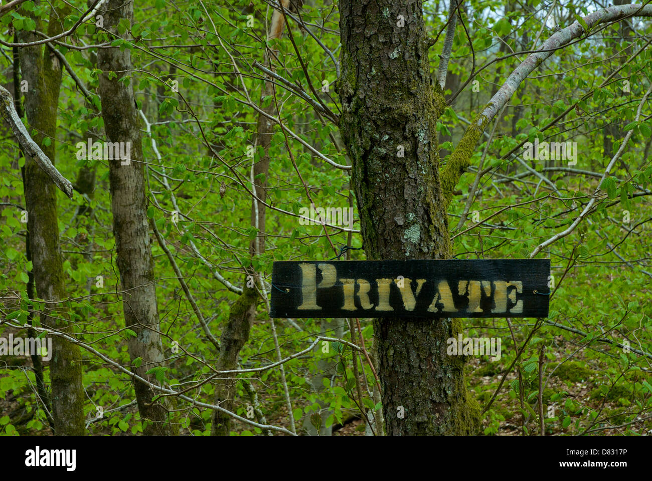 Woodland with 'Private' sign, near Ambleside, Lake District National ...