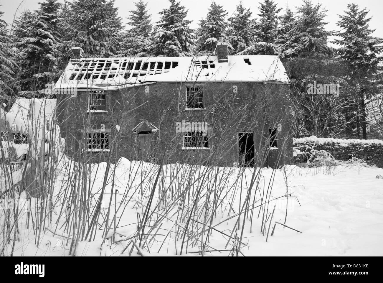 Bailey farm Black and White Stock Photos & Images - Alamy