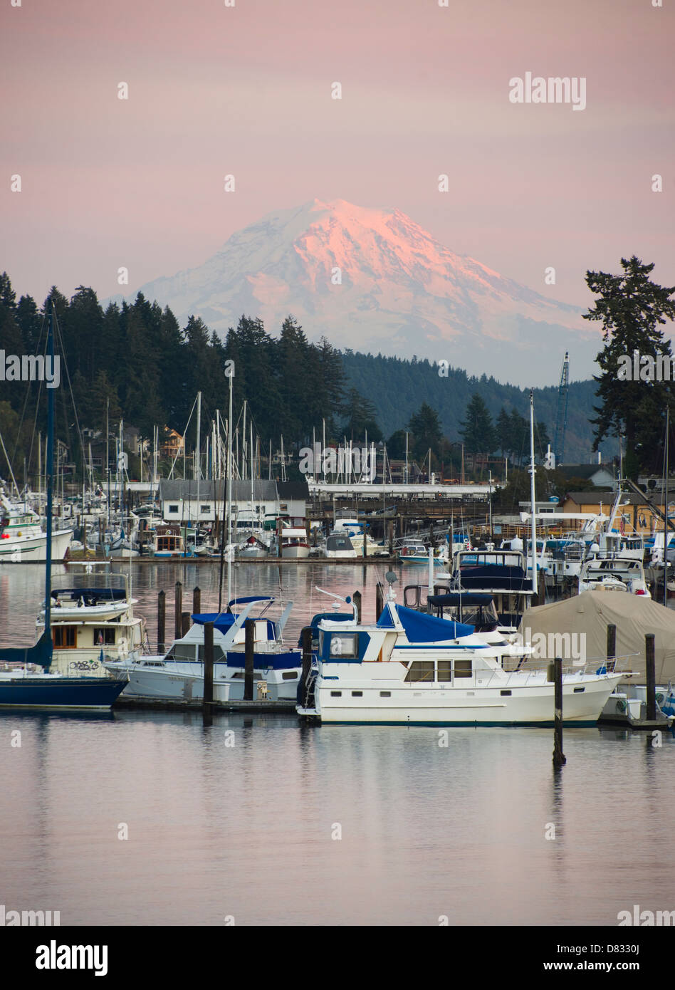 The sleepy harbor of the town of Gig Harbor with Mt Rainier catching ...
