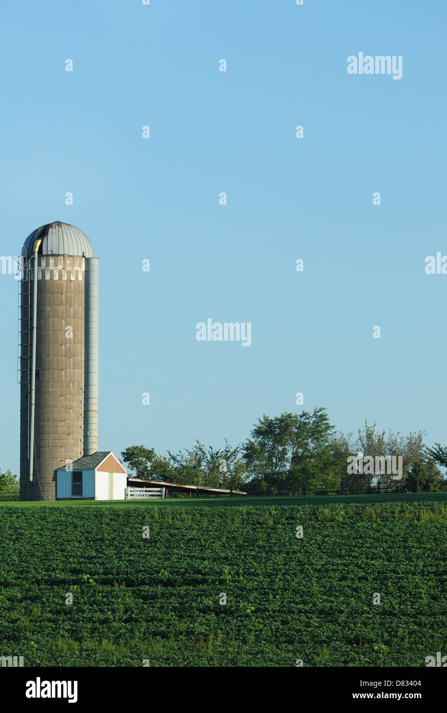 Farm with soy beans and silo in the country in rural america Stock ...