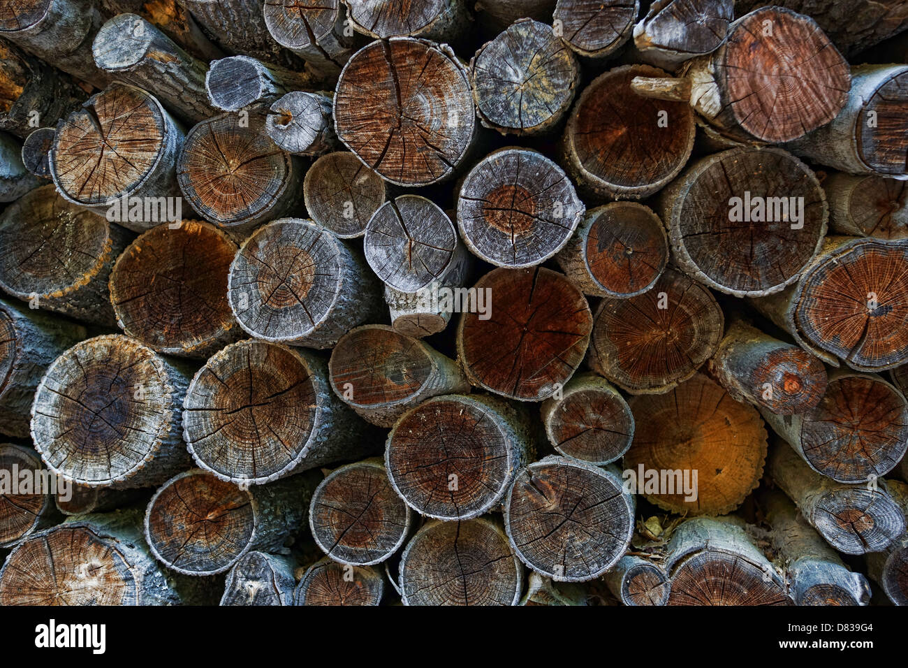 Round cut wood hi-res stock photography and images - Alamy