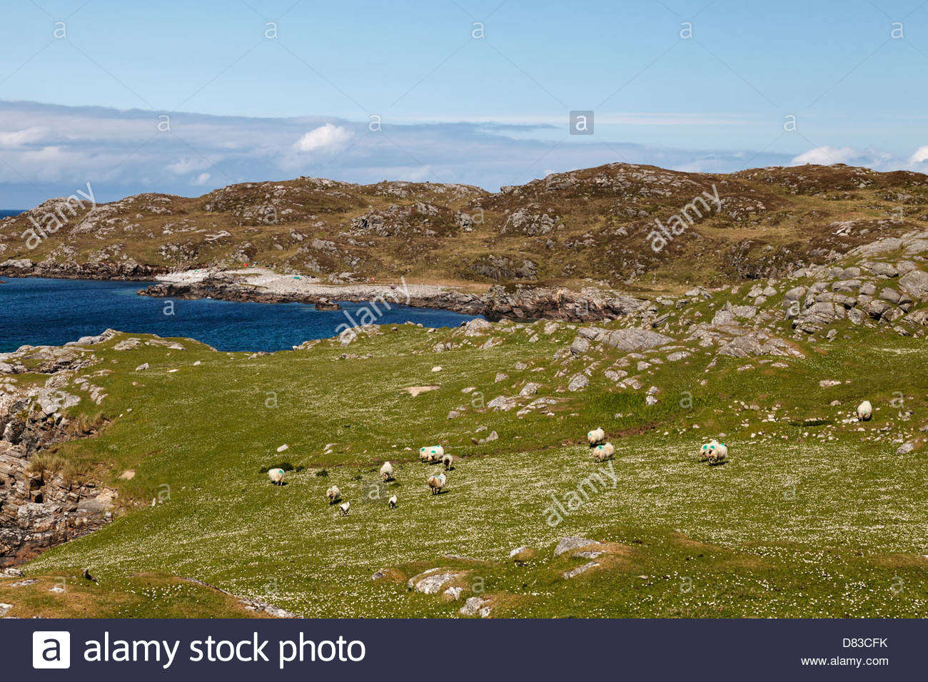 Great Bernera Stock Photos & Great Bernera Stock Images - Alamy