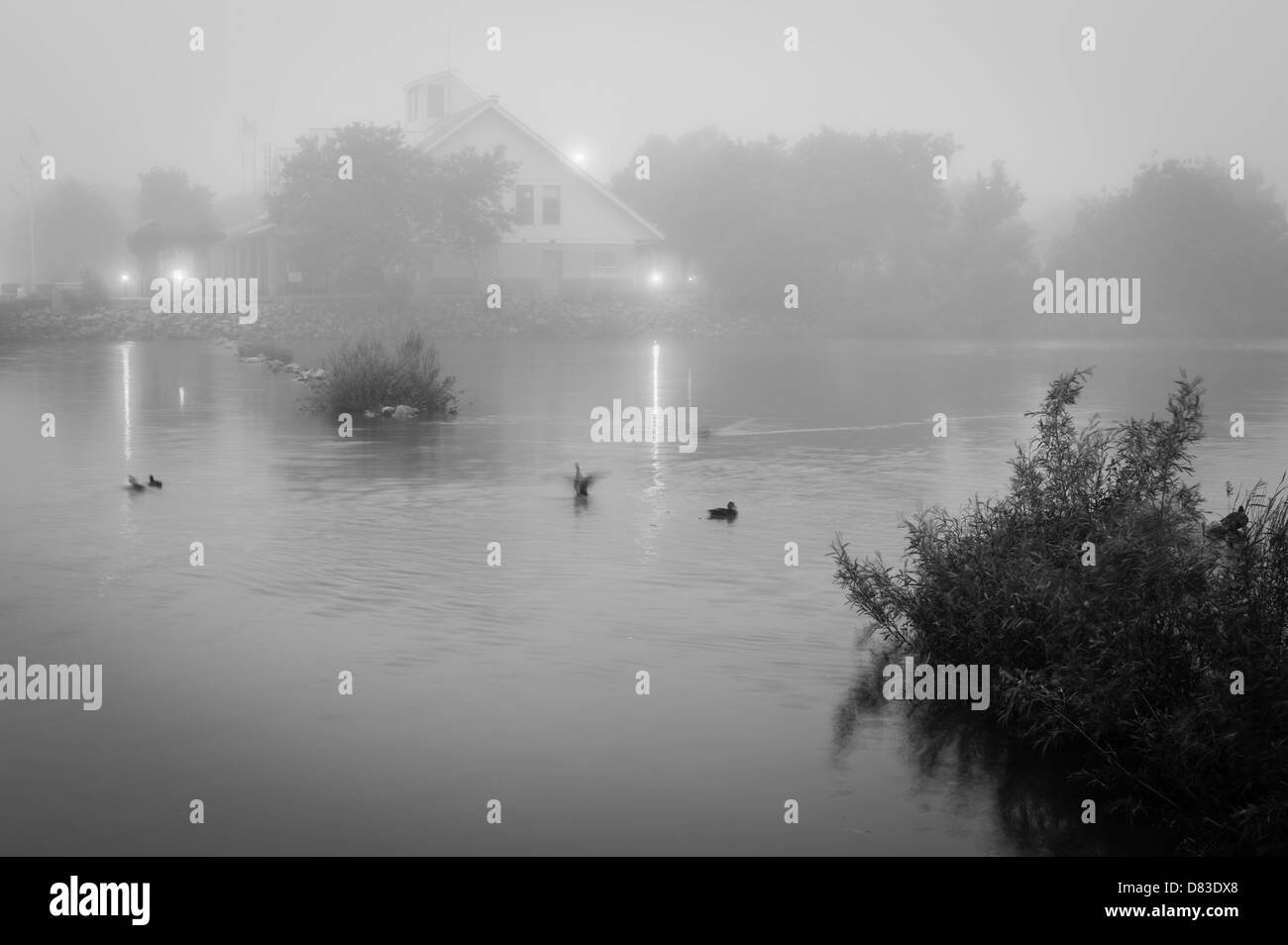 Heavy fog set over pond with few ducks and a lit building on its shore ...