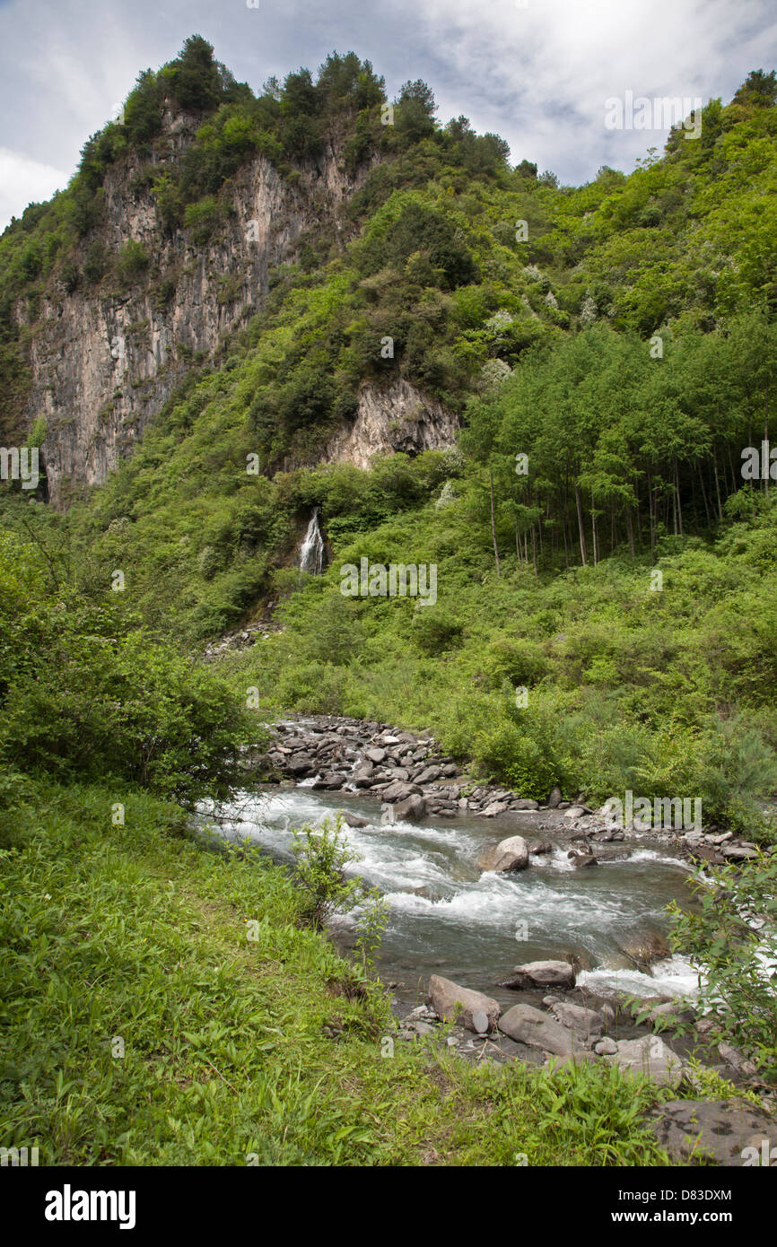 Pitiao River in Qionglai mountain valley, Wolong, Sichuan province ...