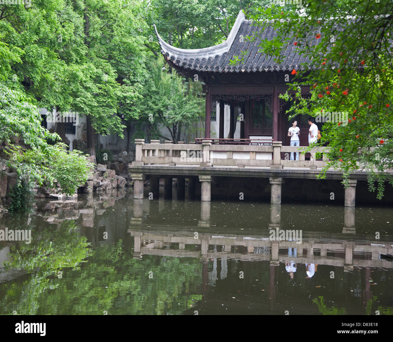 Nine lions hi-res stock photography and images - Alamy