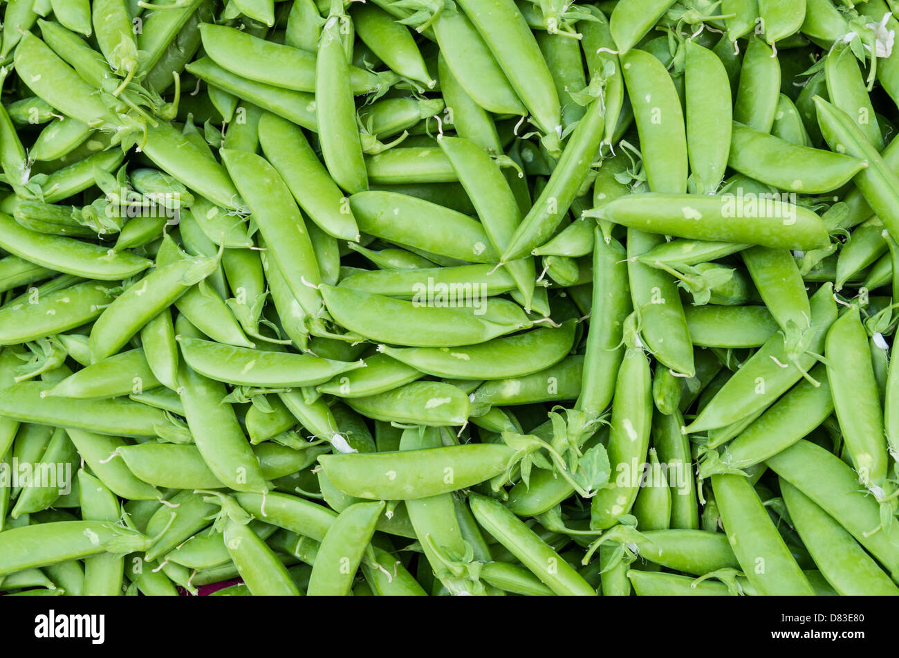 Freshly harvested green peas on display at the farmers market Stock ...