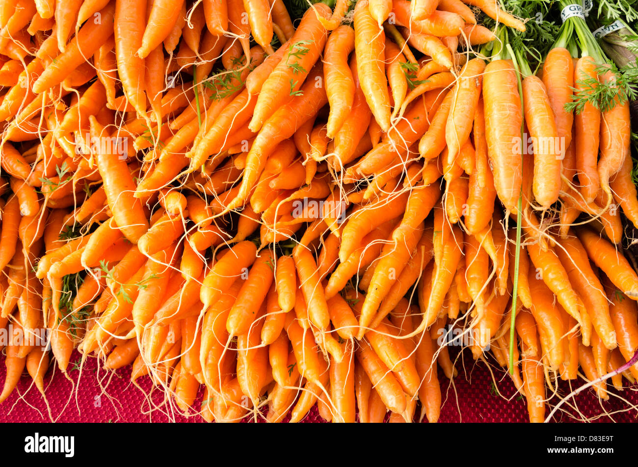 Freshly harvested orange carrots on display at the farmers market Stock ...