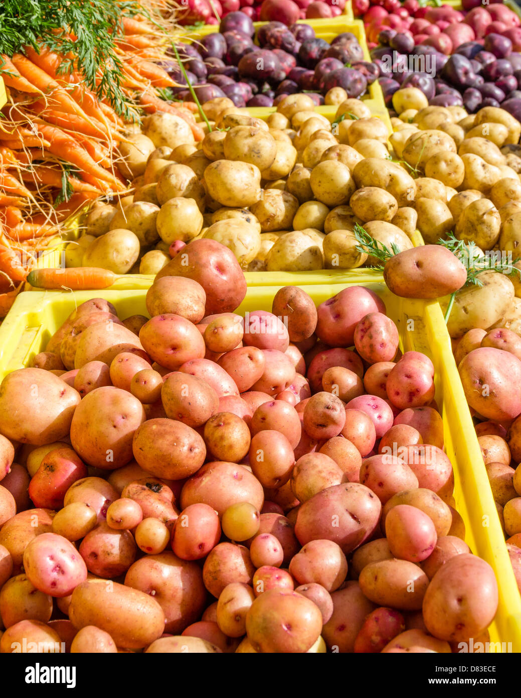 Freshly harvested potatoes on display at the market Stock Photo - Alamy