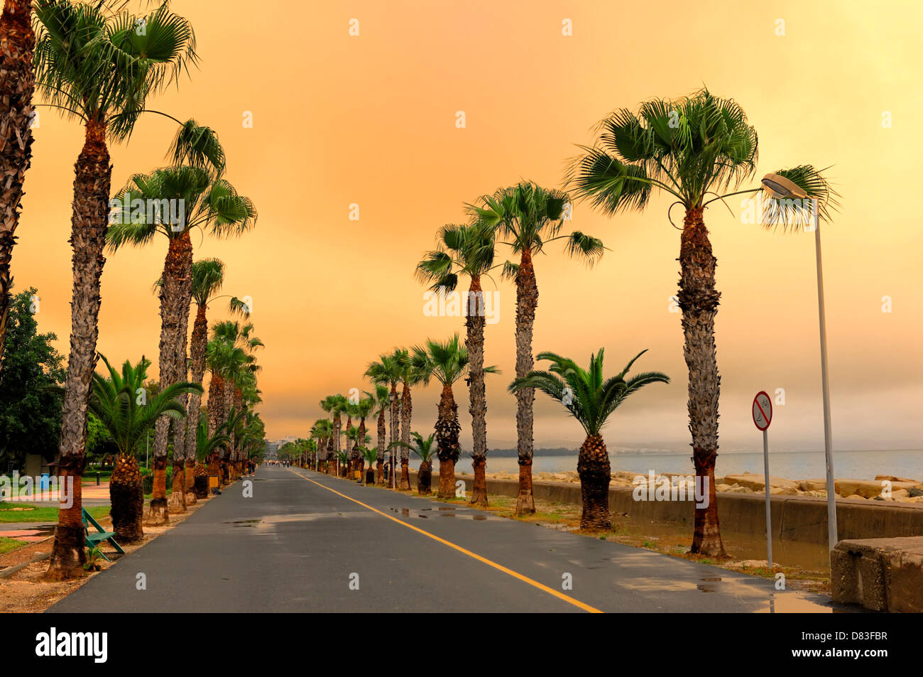 Palm trees growing along Limassol city sea front over dramatic orange ...