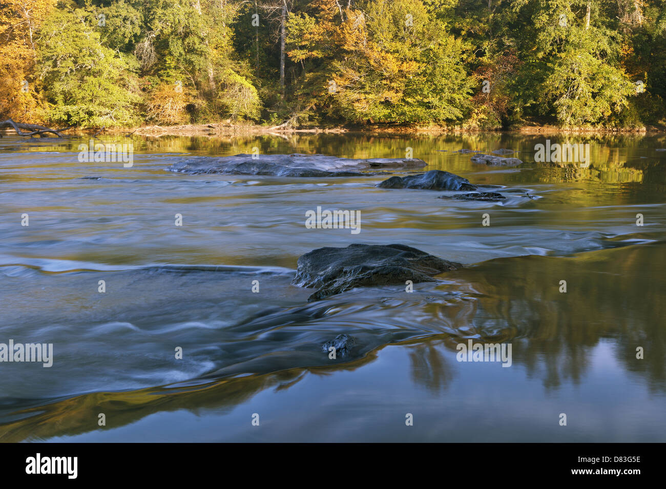 Fall colors in brush hi-res stock photography and images - Alamy