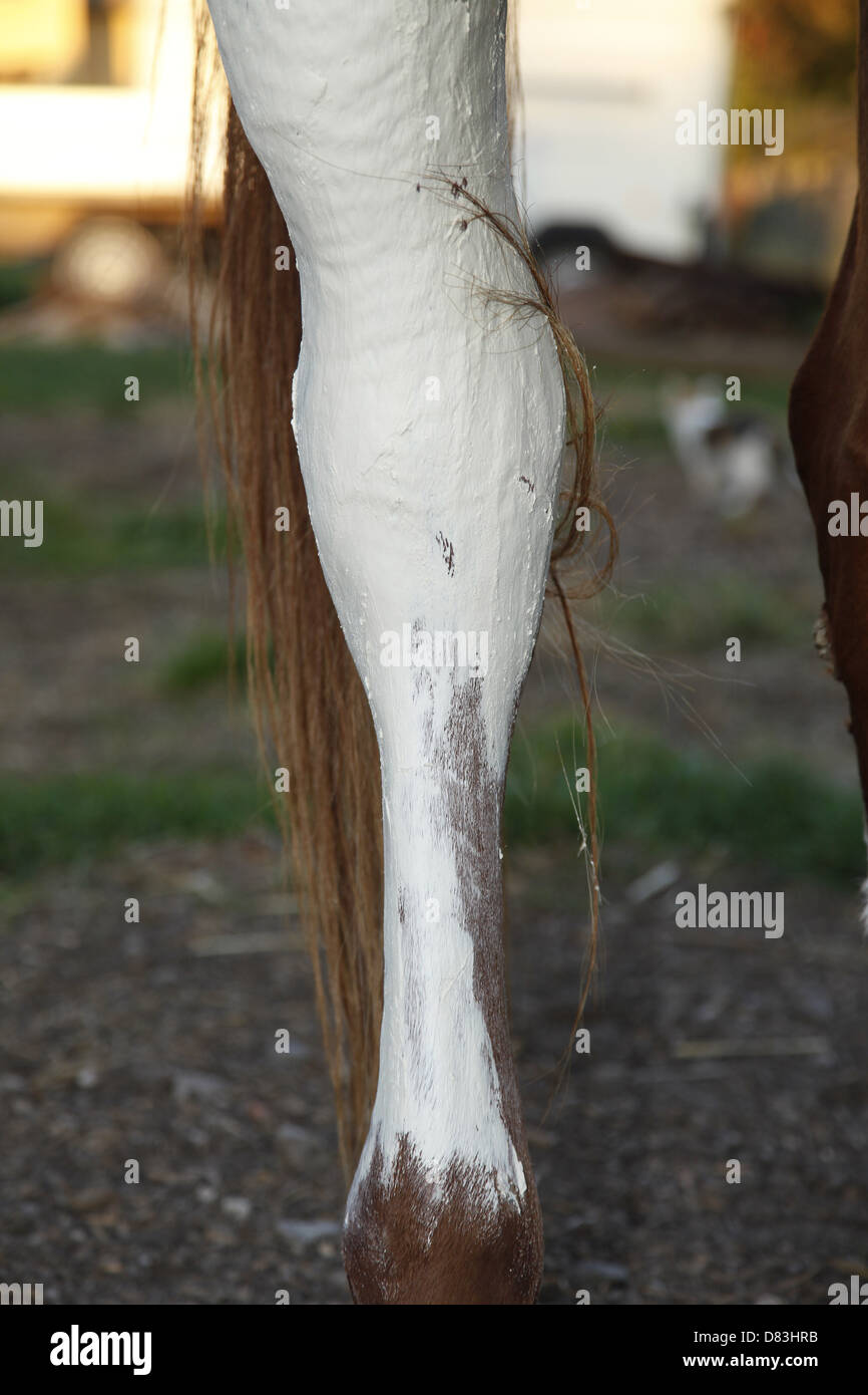 Wound care management hi-res stock photography and images - Alamy