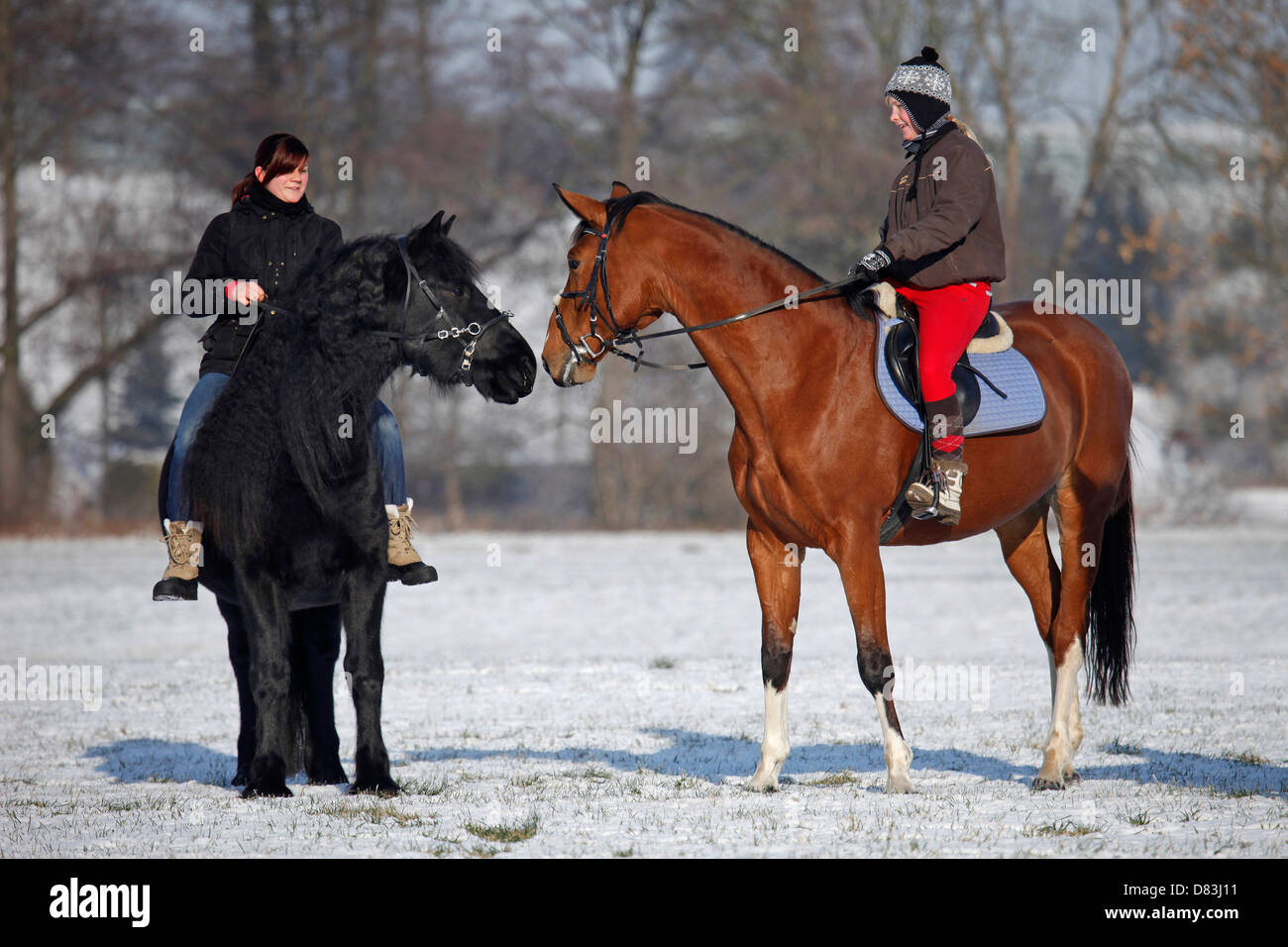 Two horses woman riding hi-res stock photography and images - Alamy