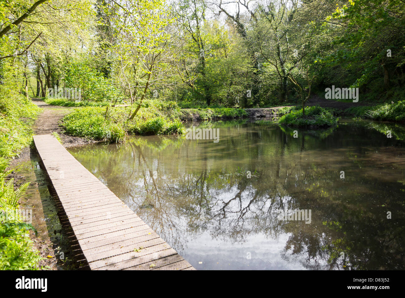 Woodland Pond Stock Photos & Woodland Pond Stock Images - Alamy