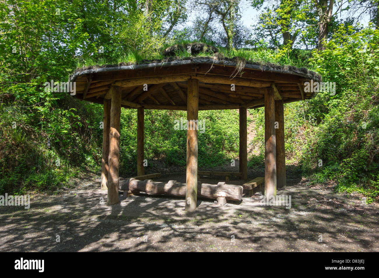 A round wooden shelter with a grass roof situated in woodland Stock ...