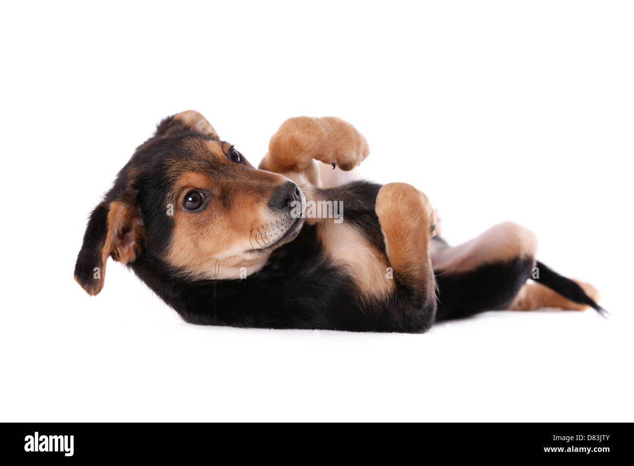 Half lying position hi-res stock photography and images - Alamy