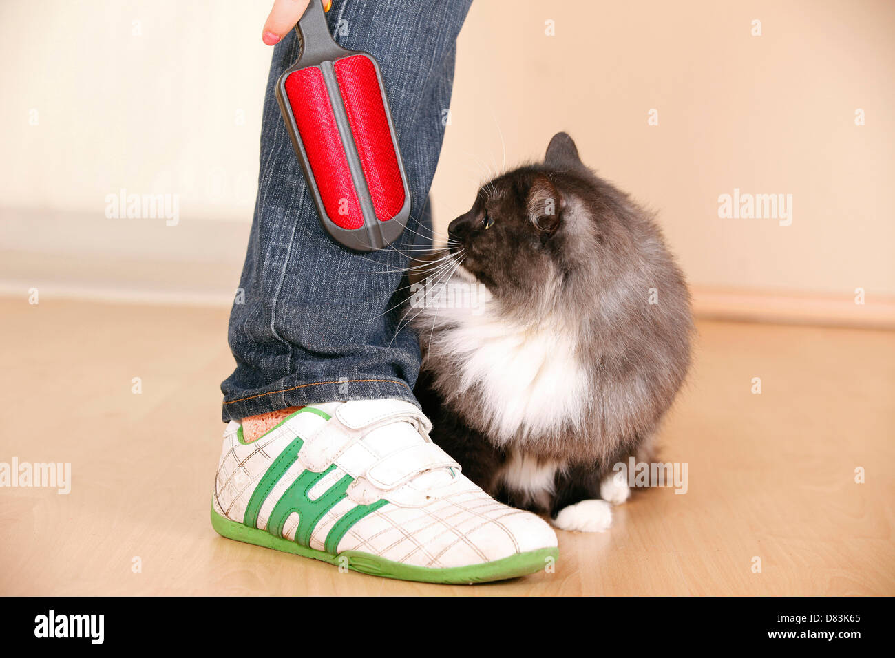 Cats hands hi-res stock photography and images - Alamy