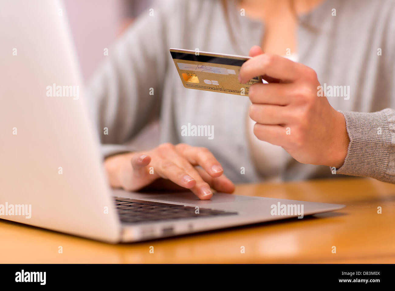 Female doing shopping on internet with her laptop Stock Photo - Alamy