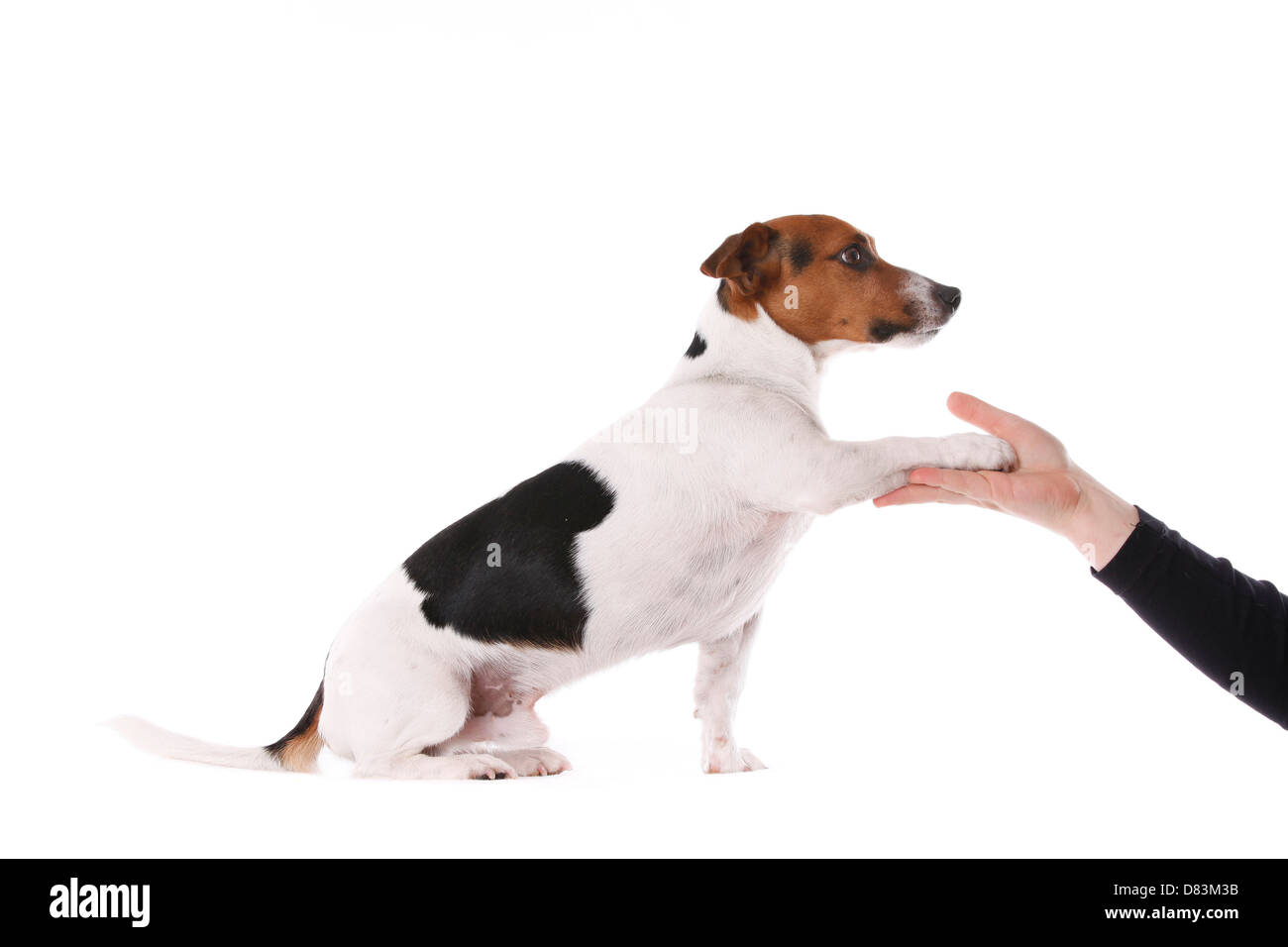 Short persons Cut Out Stock Images & Pictures - Alamy