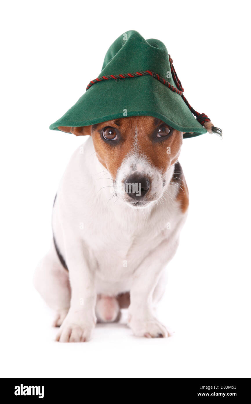 Huntsman costume Cut Out Stock Images & Pictures - Alamy