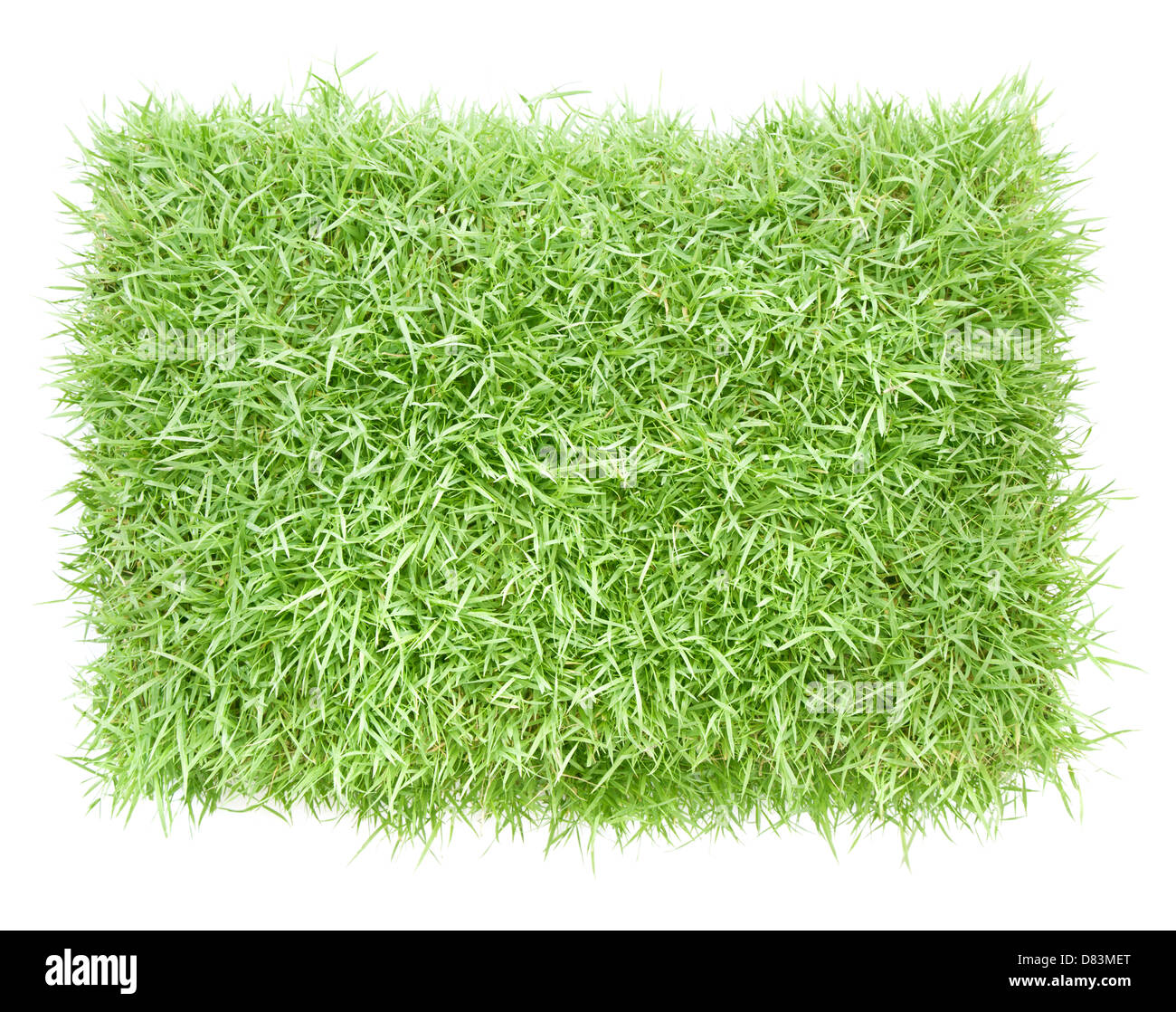 grass Square on white background Stock Photo - Alamy