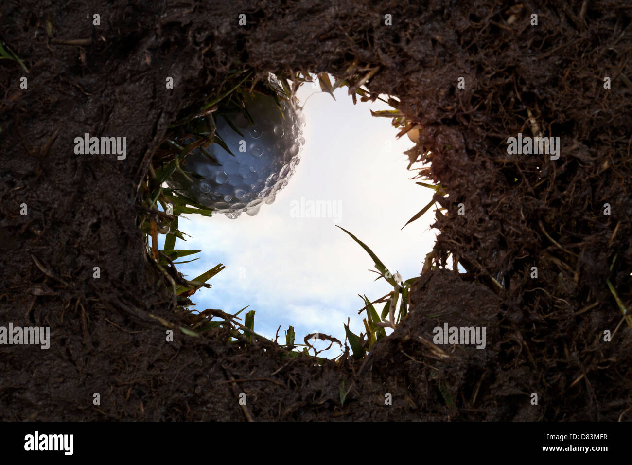 Golf ball falling in cup Stock Photo - Alamy