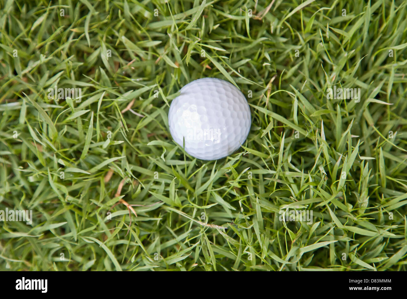 top view Golf ball on grass Stock Photo - Alamy