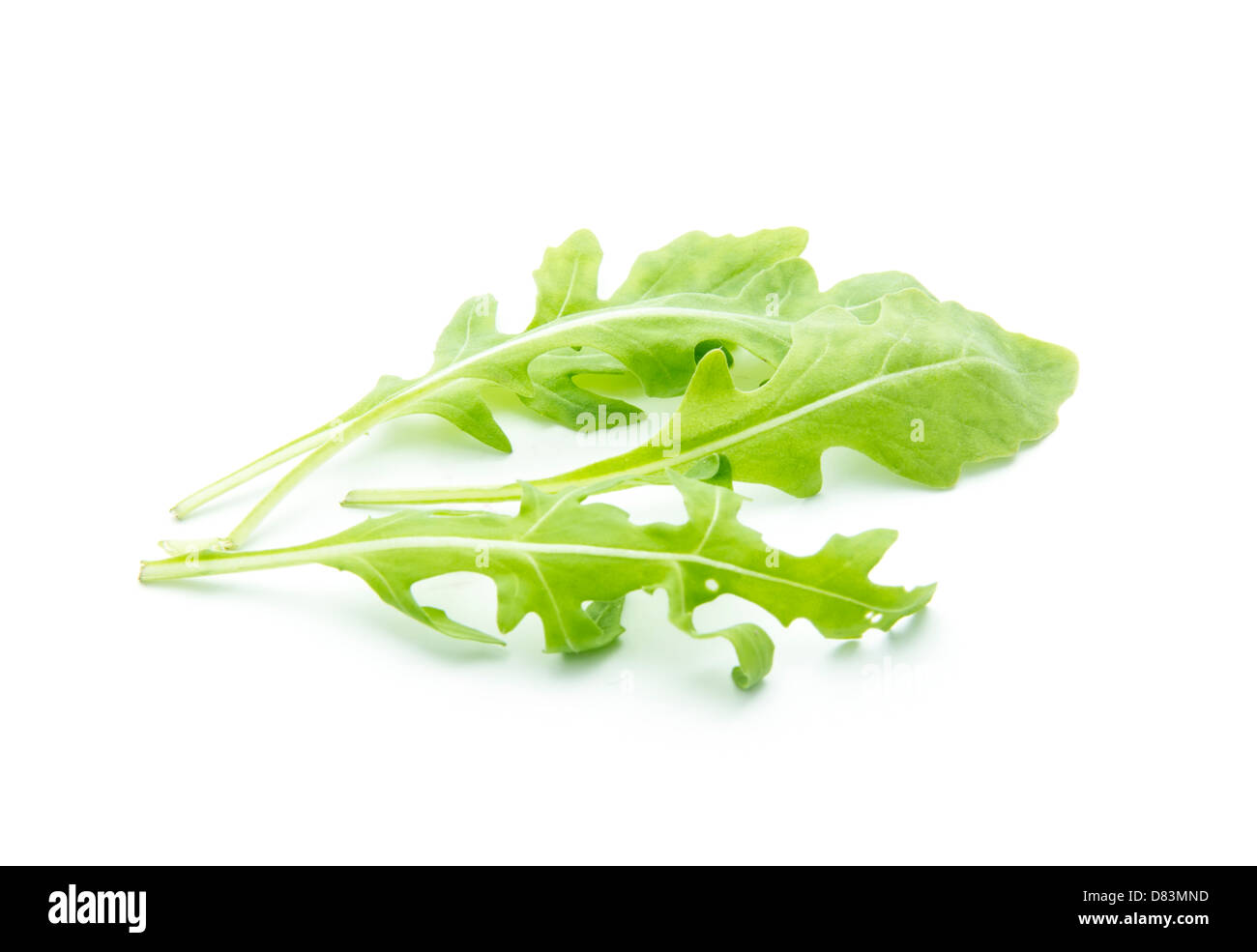 green rucola leaves isolated on white background Stock Photo - Alamy