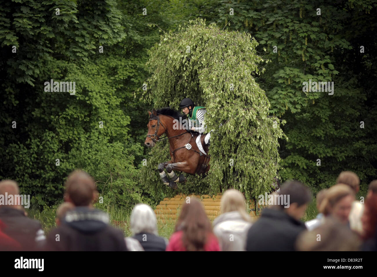 German horse rider Jule Wewer jumps over an obstacle with her horse ...