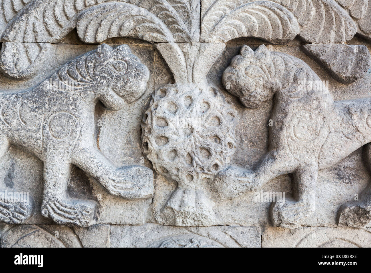 Middle east lions lion hi-res stock photography and images - Alamy