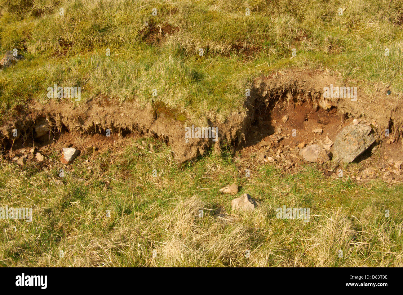 Soil creep hi-res stock photography and images - Alamy