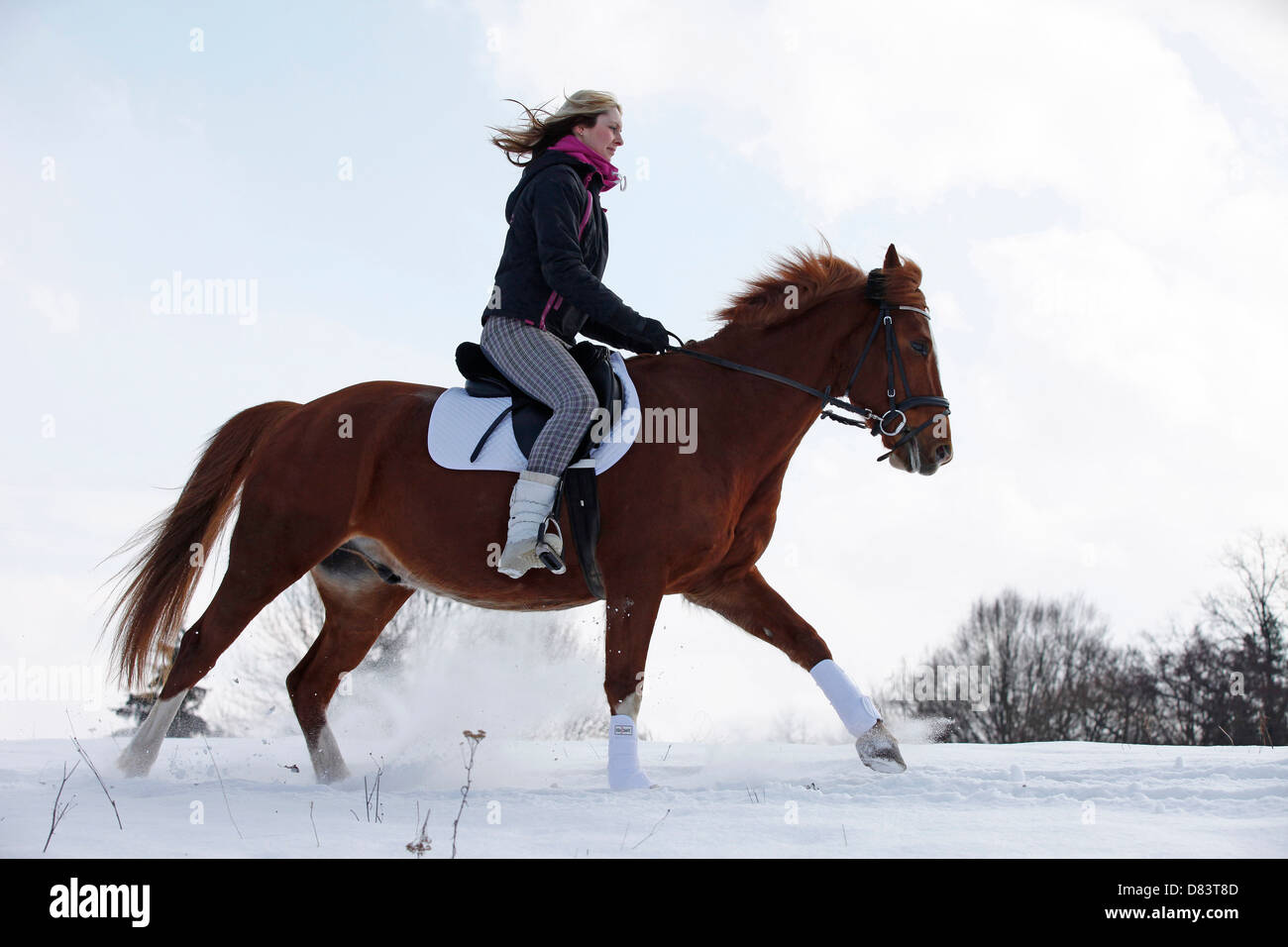 Riding a small pony hi-res stock photography and images - Alamy