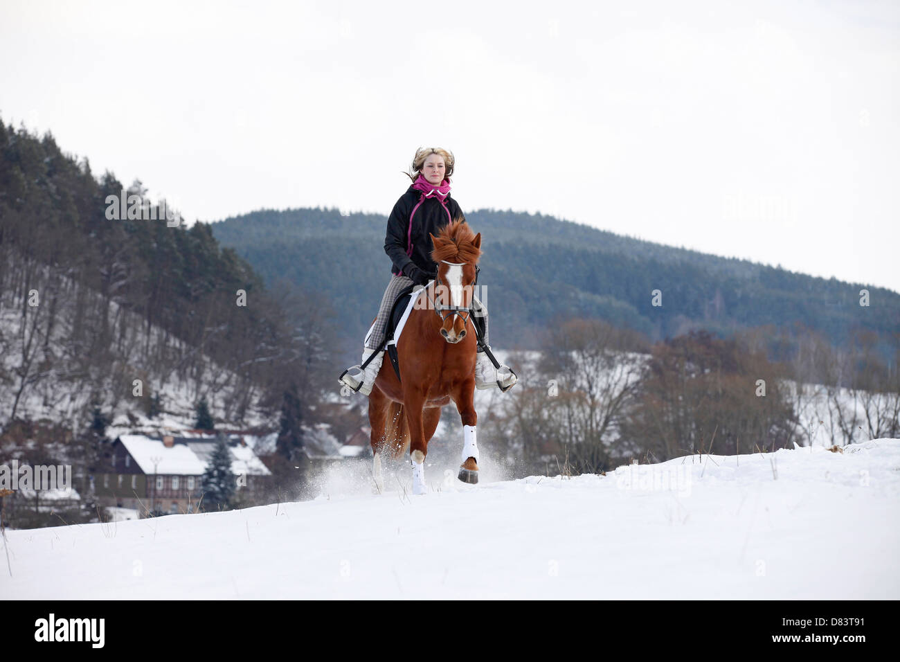 Woman riding pony hi-res stock photography and images - Alamy