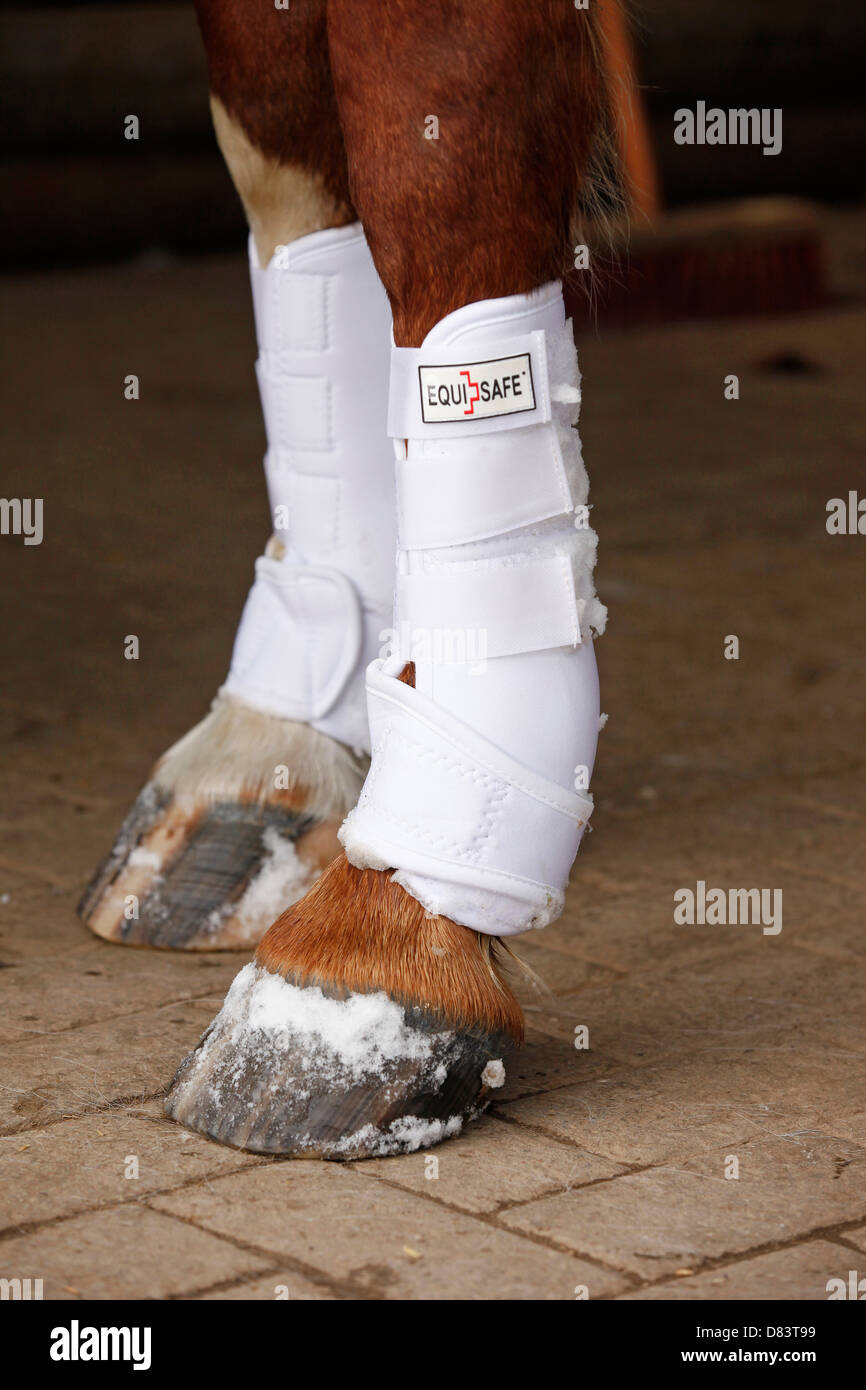 Puttee hi-res stock photography and images - Alamy