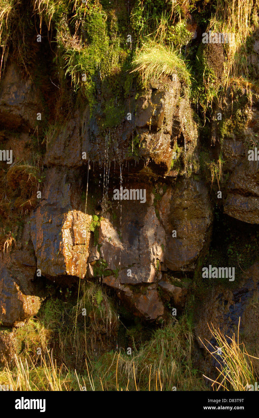 Rock face on the Campsie Fell in East Dunbartonshire, Scotland Stock ...