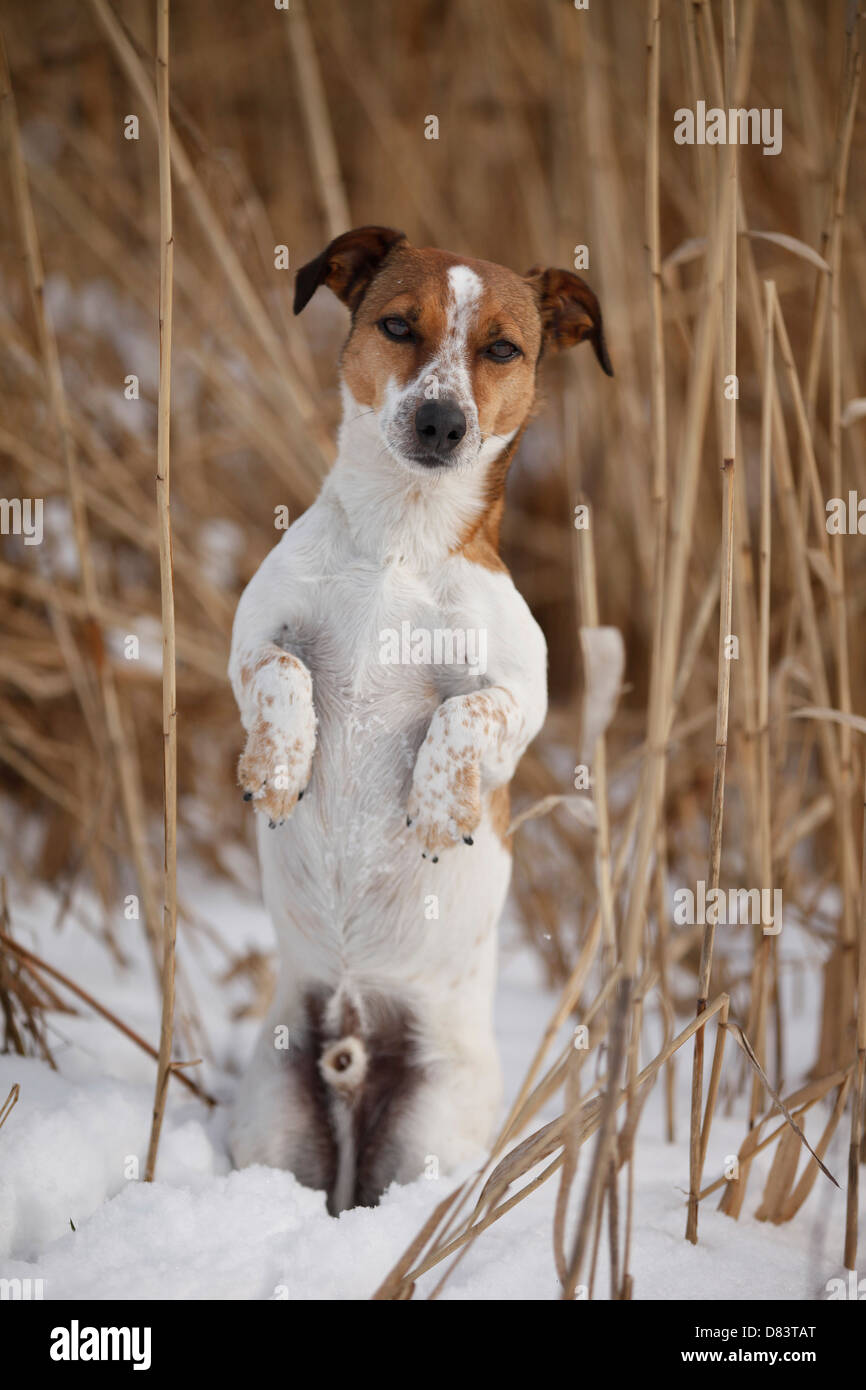 Jack up legs hi-res stock photography and images - Alamy
