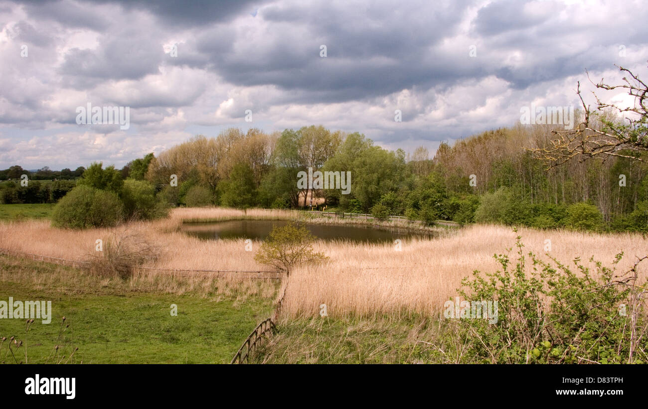 Uk atmosphere pond hi-res stock photography and images - Alamy