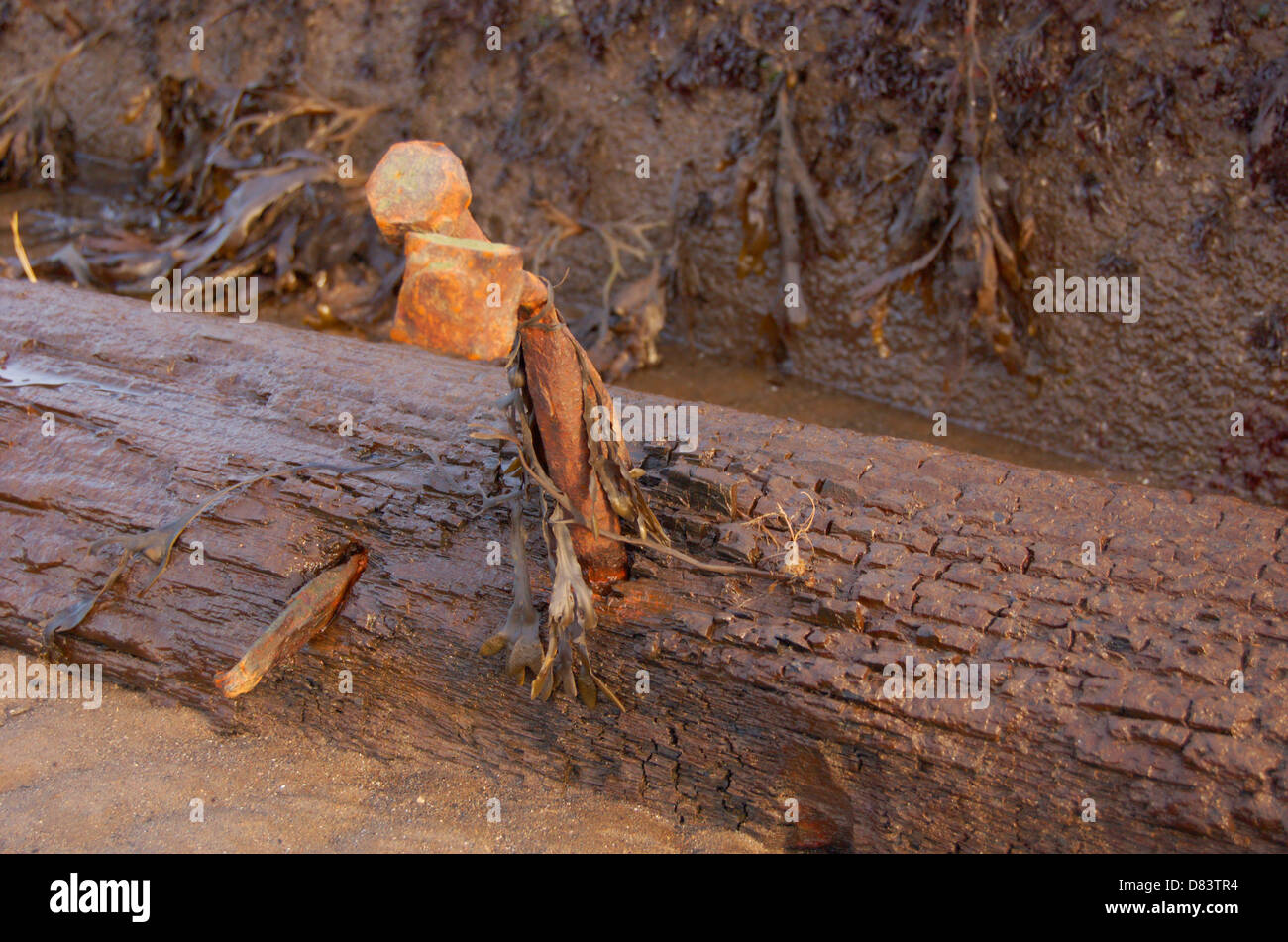 Pier remains on the beach at Craigendoran on the Firth of Clyde ...