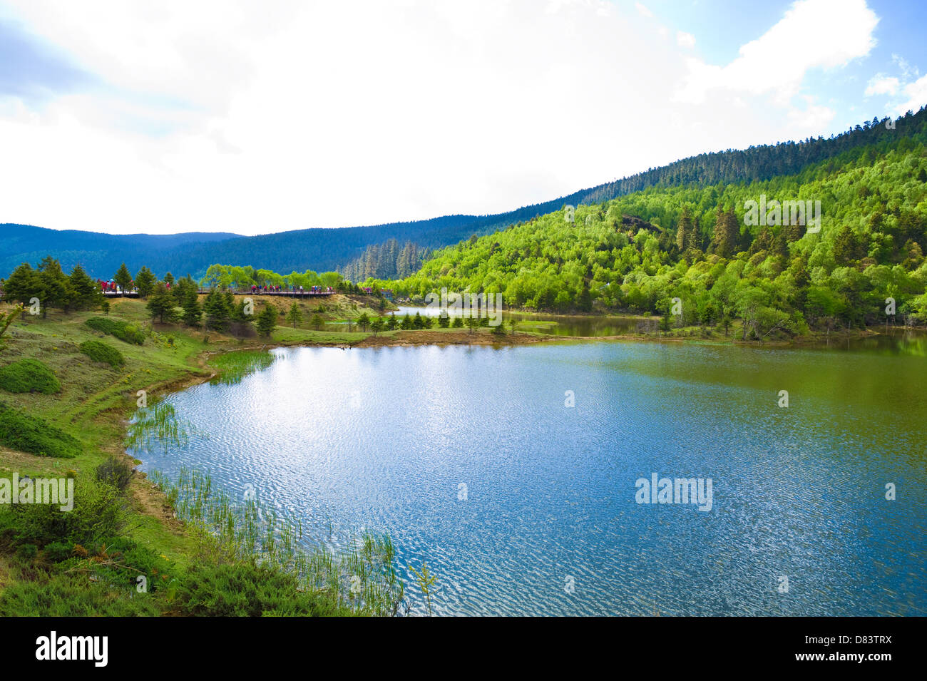 Scenic view of Shudu Lake of Pudacuo National Park at Shangri-la ...