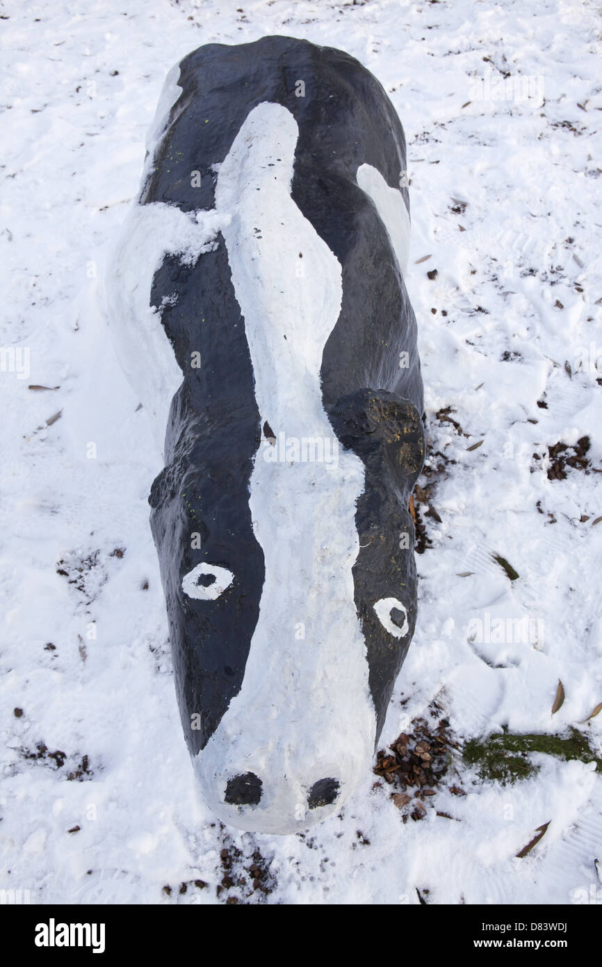 Concrete cows in Milton Keynes created in 1978 by Canadian-born artist ...