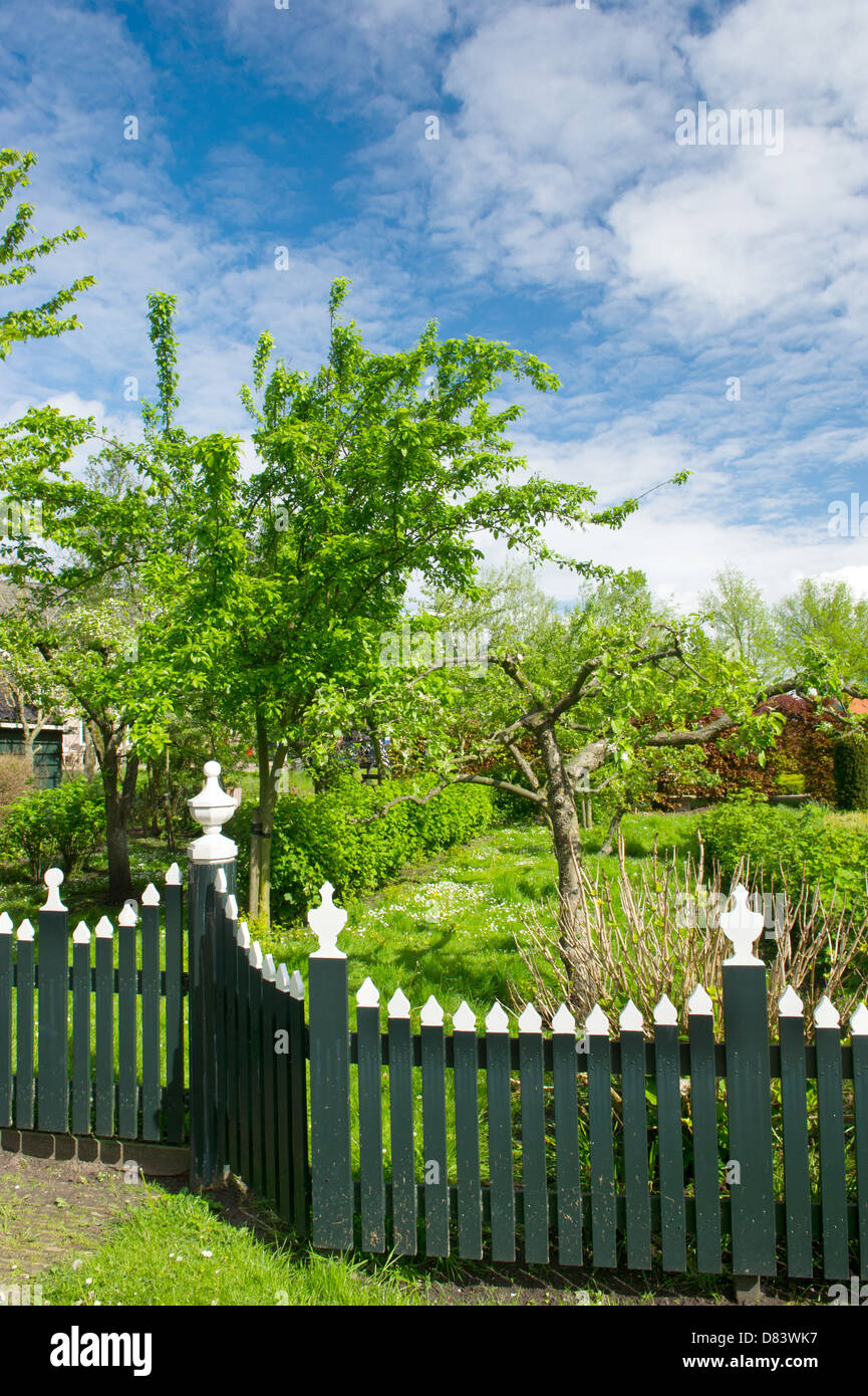 Typical Dutch garden with fruit trees and wooden fence Stock Photo - Alamy