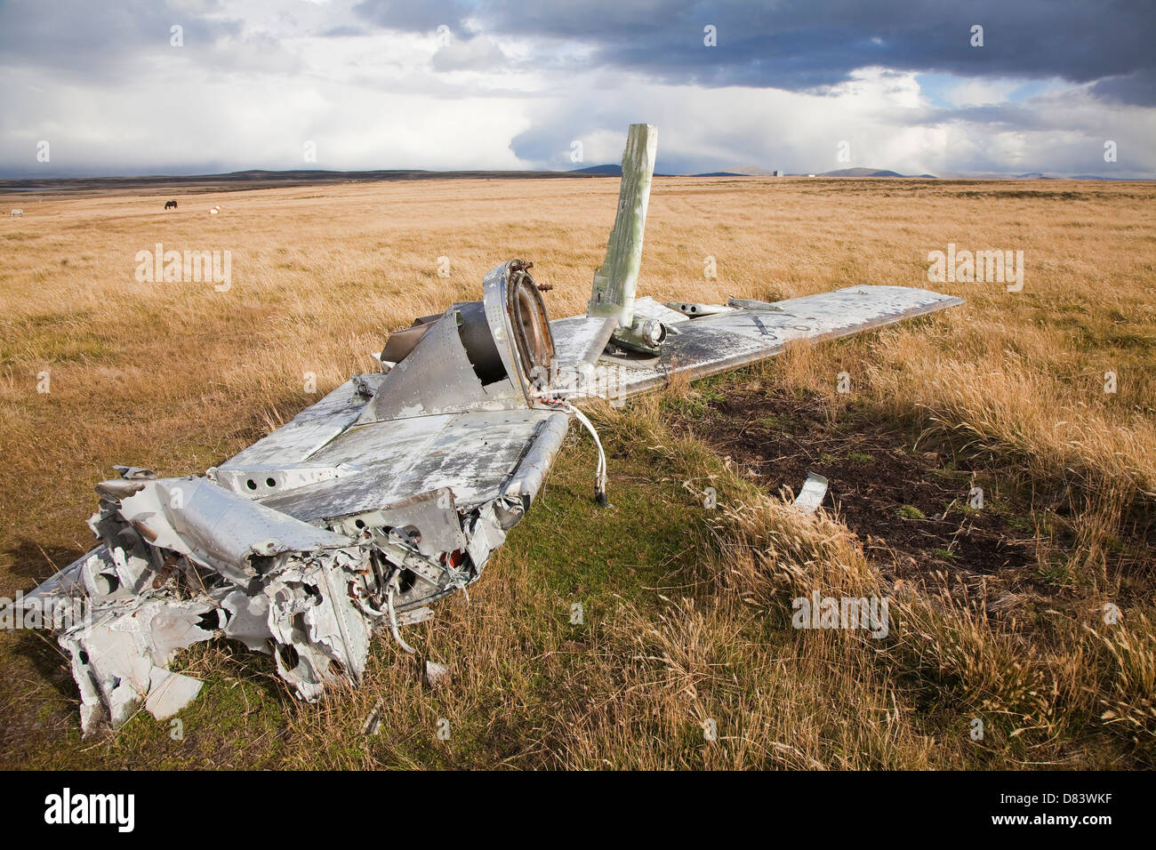 Pebble island falklands war hi-res stock photography and images - Alamy