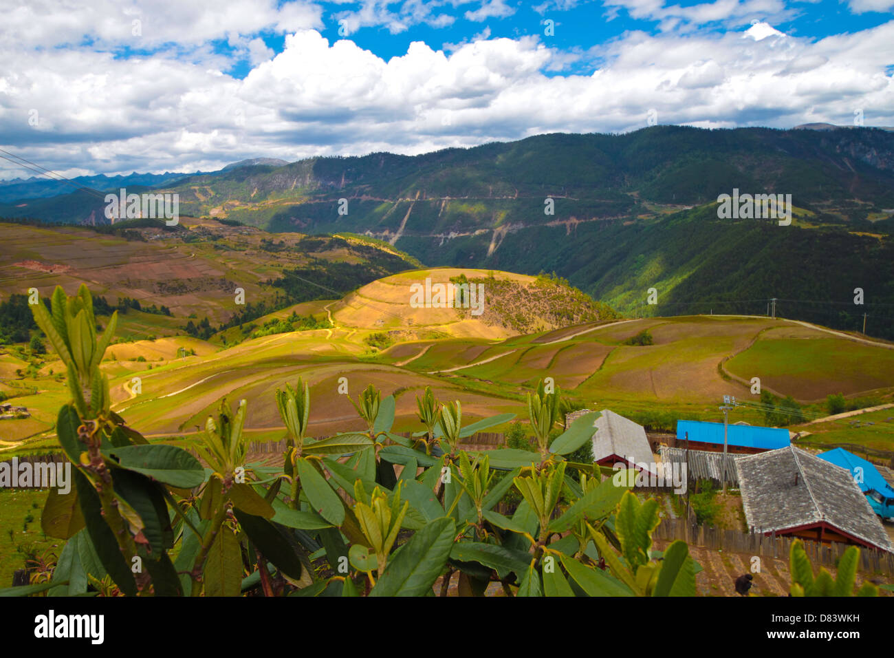 Slope farming Yunnan China country side Stock Photo - Alamy