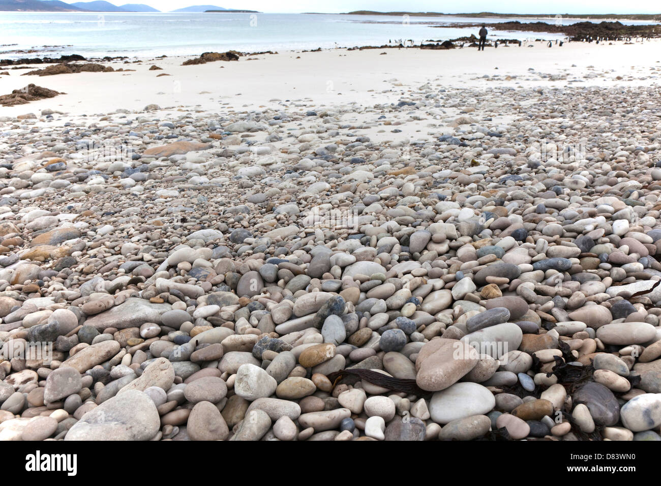 Grey pebbels hi-res stock photography and images - Alamy