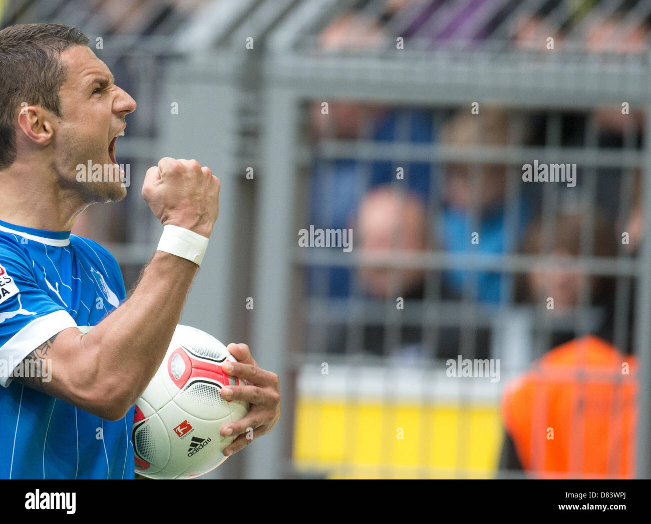 Hoffenheim's Sejad Salihovic (2-R) celebrates his goal with his team ...